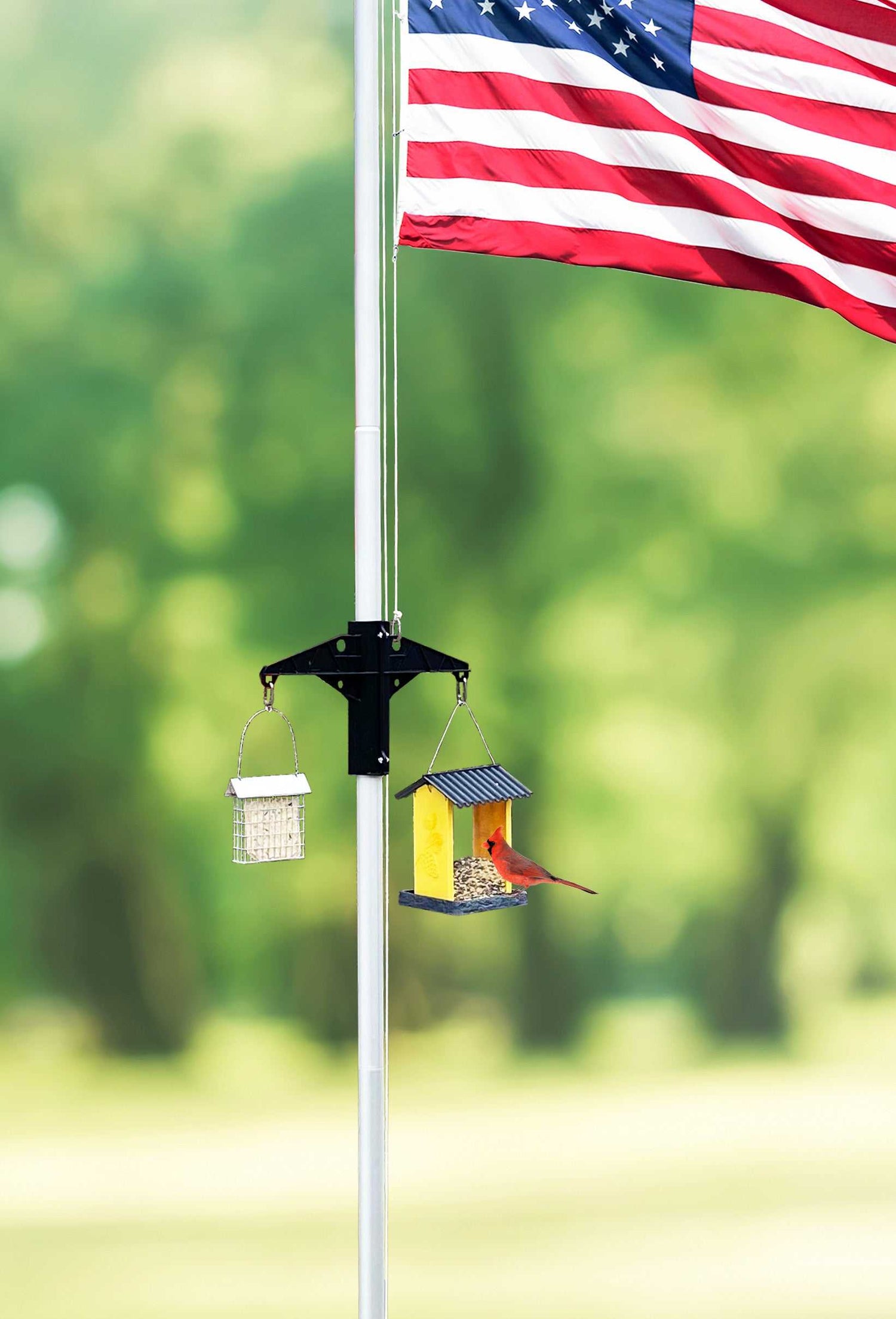Freedom Fliers: EZ FEED Bird Feeder Bracket – freedomfliers